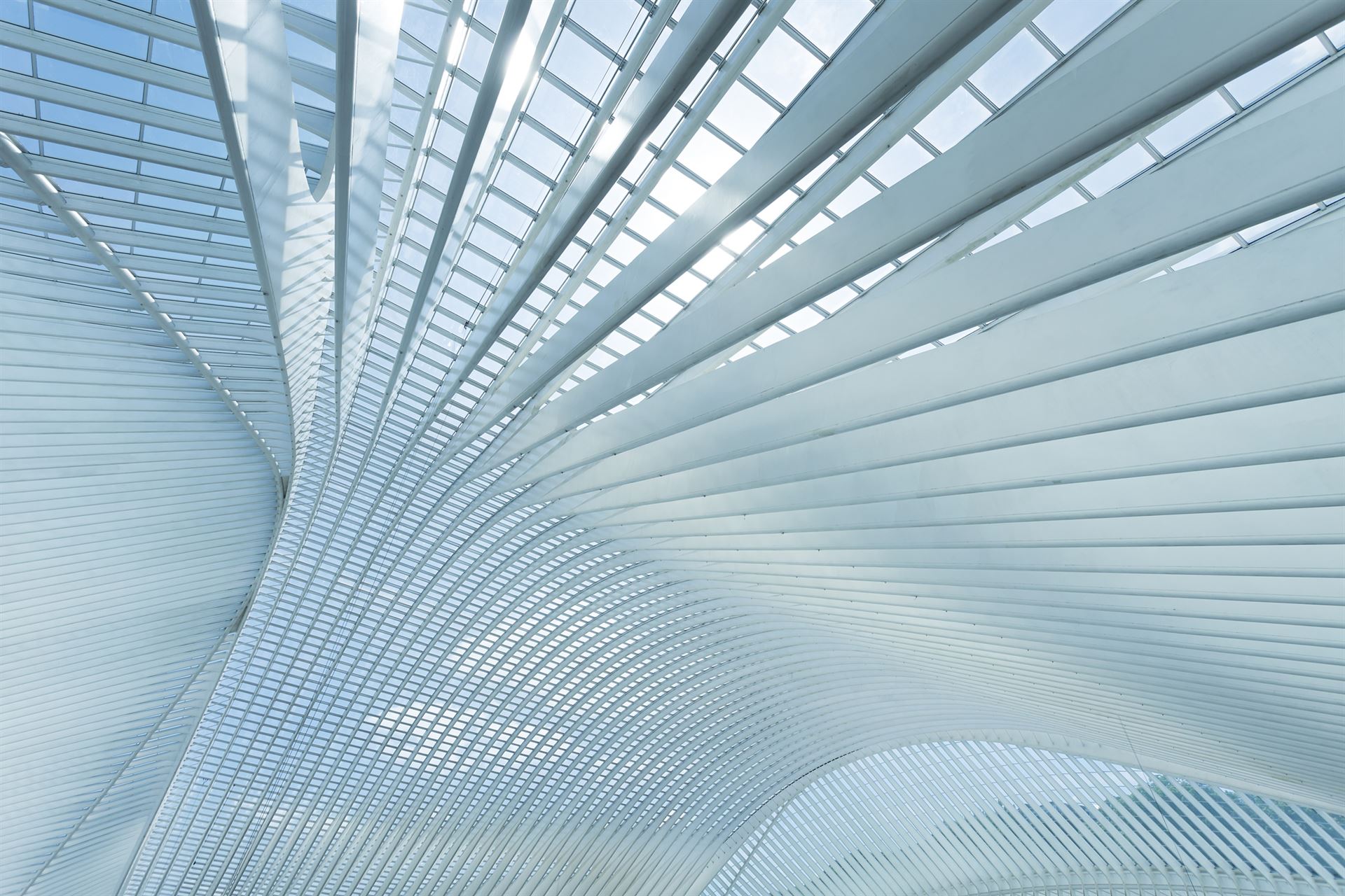 Independent Contractor or Employee: Key Distinctions for Independent ...